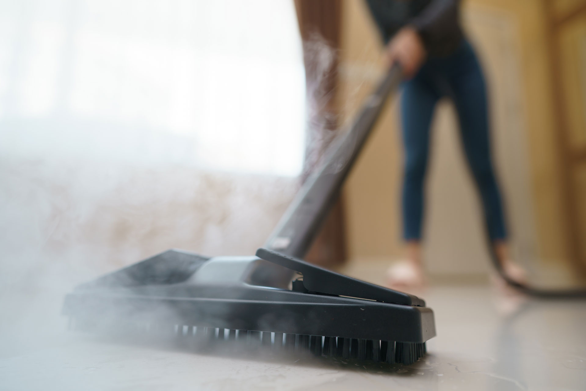 Come debellare i pesciolini d'argento: la guida definitiva di Cleaning ...